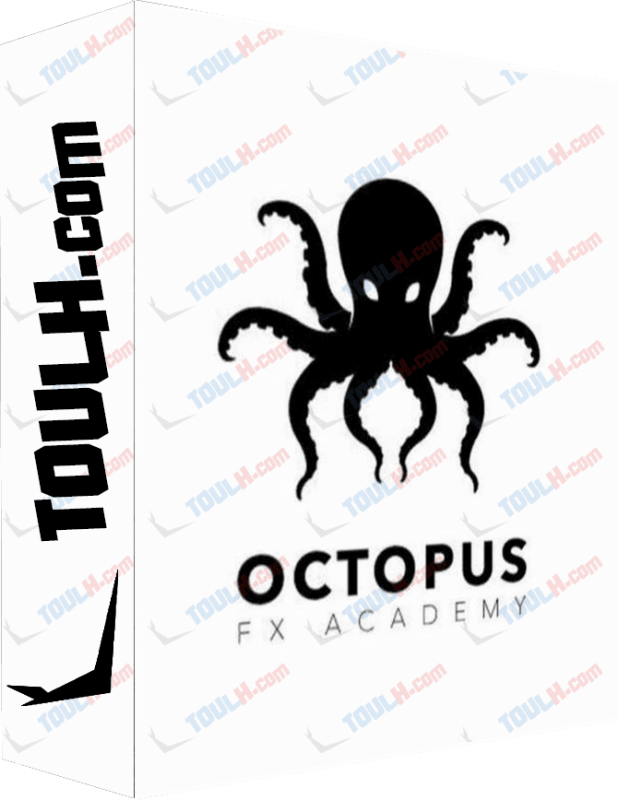 Octopus FX Academy : Curso de Trading Completo